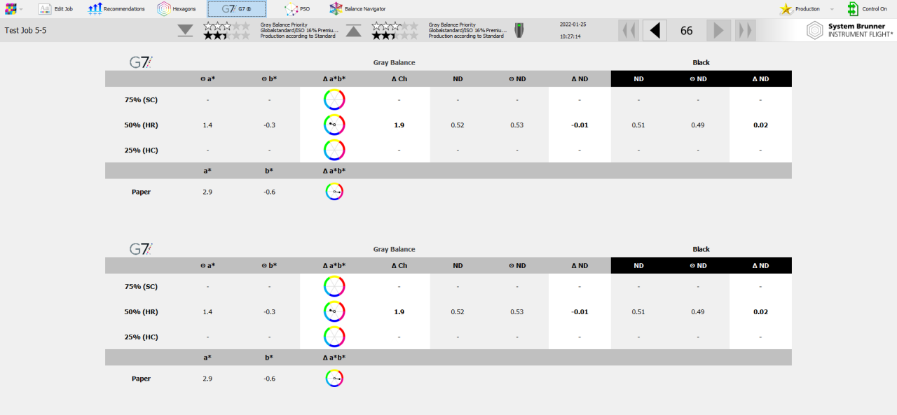 Instrument Flight® Standalone | System Brunner