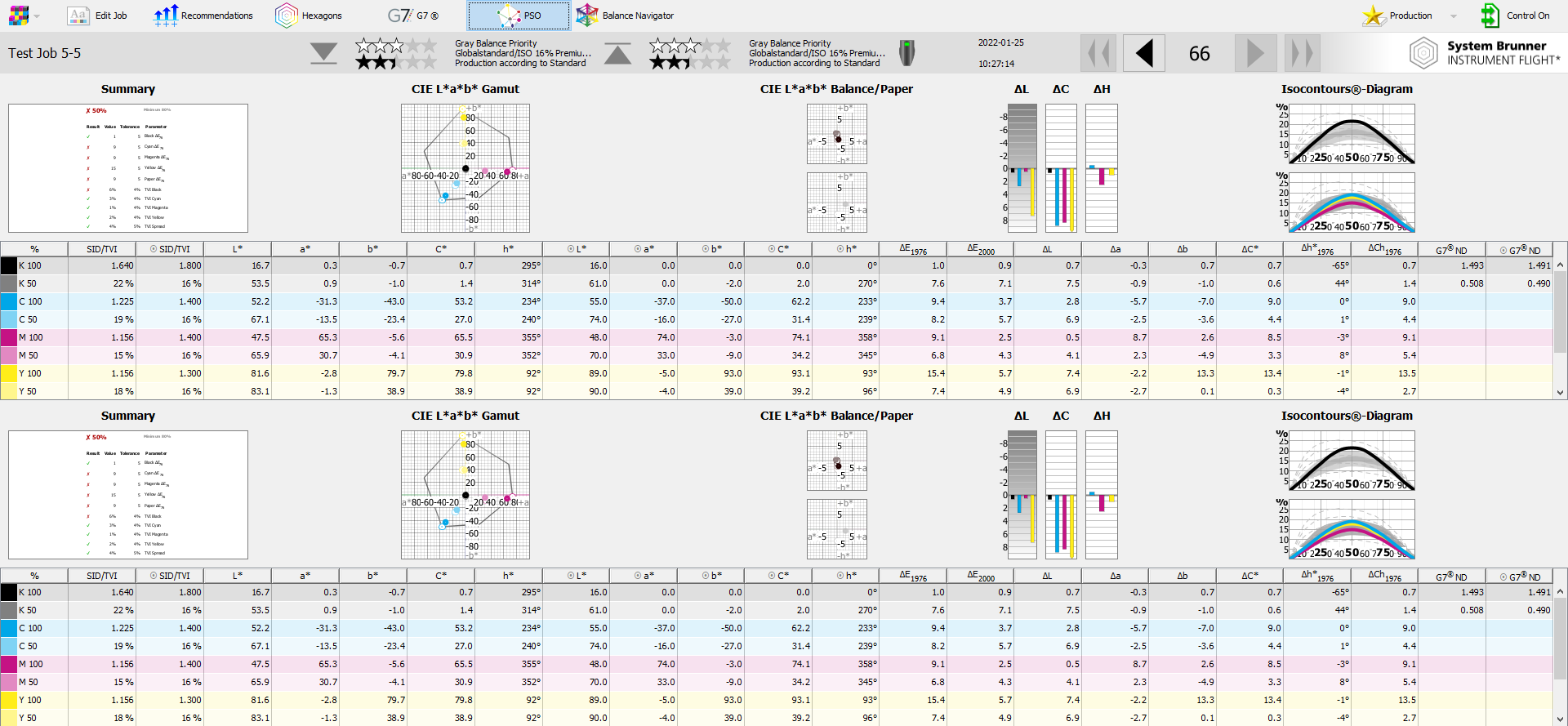 Instrument Flight® Standalone | System Brunner